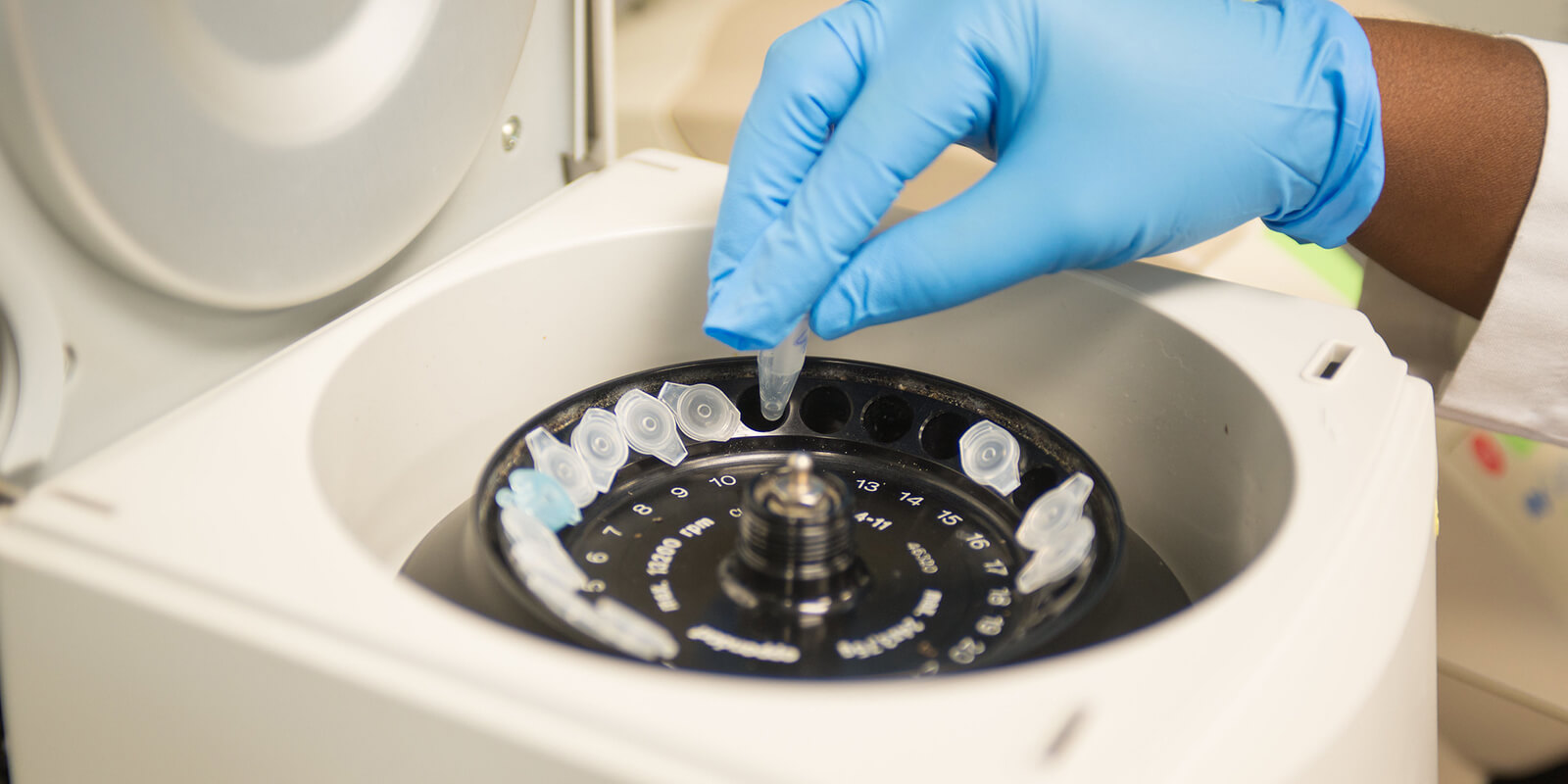 Bachelor Degree in Dietetics & Nutrition – Nutrition Science | FIU Robert Stempel College of ...